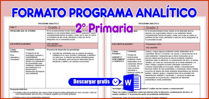 Formato del Programa analítico de 2° Primaria