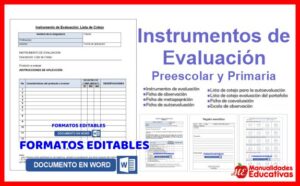 Instrumentos de Evaluación Preescolar y Primaria