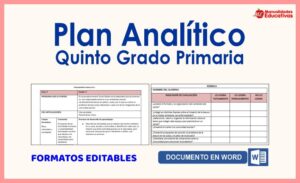 Plan Analítico Quinto Grado Primaria