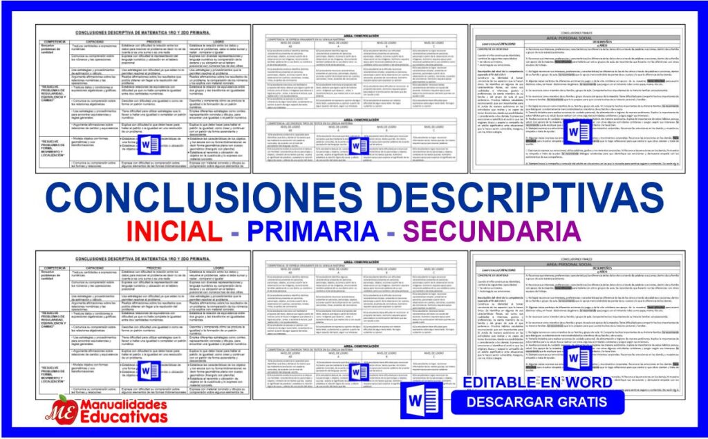 conclusiones descriptivas inicial primaria y secundaria