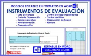 Formatos de Instrumentos de Evaluación Preescolar y Primaria