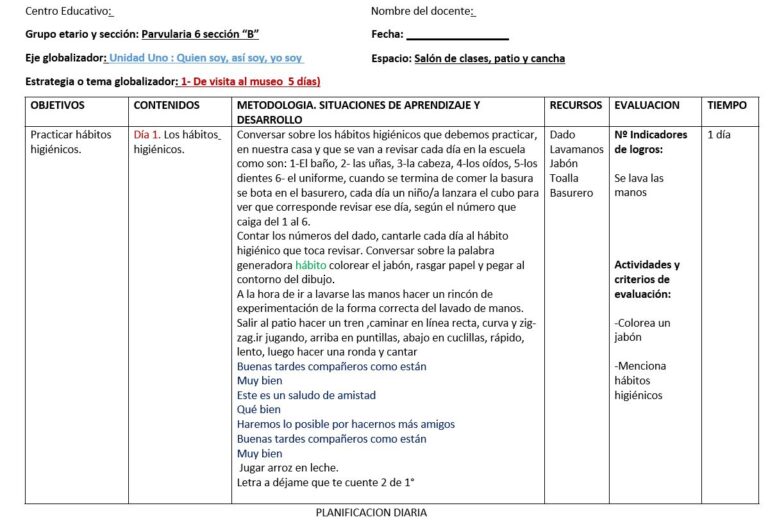 Formatos y esquema planificación diaria de clase