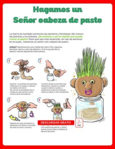 Experimento Señor cabeza de pasto