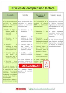 formatos registro de velocidad, fluidez y comprensión lectora