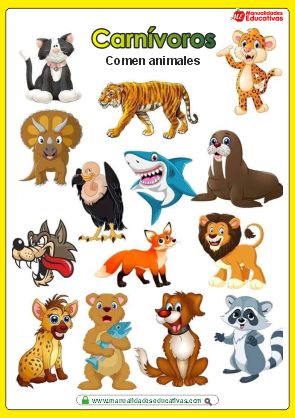 LAMINAS DE CLASIFICACIÓN DE LOS ANIMALES
