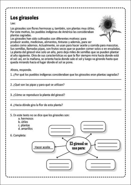 Cuaderno de trabajo comprensión lectora 6° primaria