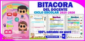 BITACORA DEL DOCENTE