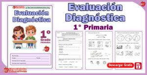 Evaluación Diagnóstica 1° Primaria
