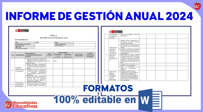 INFORME DE GESTIÓN ANUAL 2024