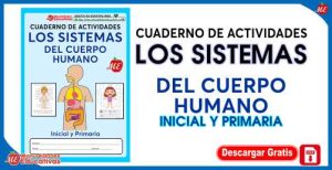 Cuadernillo de los sistemas del cuerpo humano